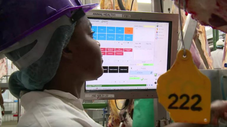 Emydex Beef Processing Solutions 11 | Emydex