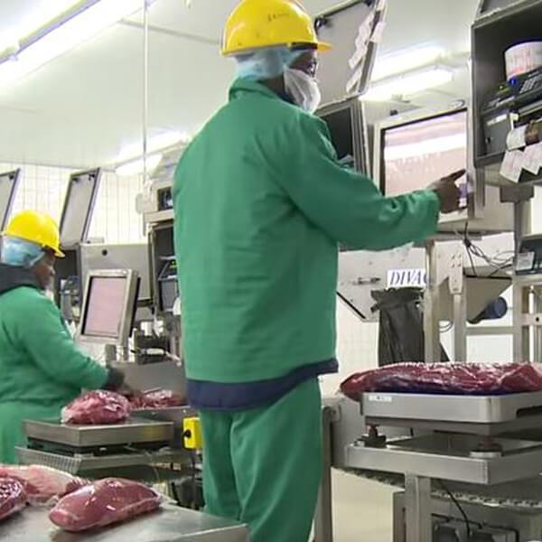 Emydex Software Module Packaging and Processing | Emydex