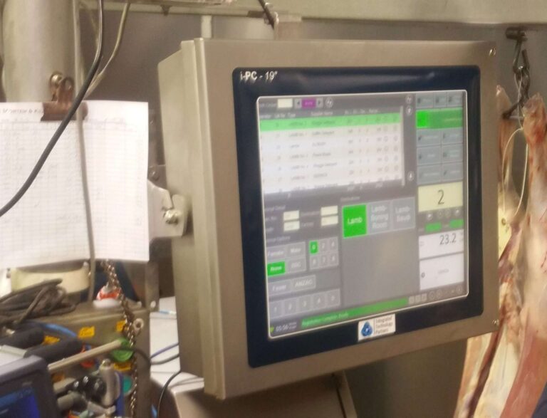 Emydex-Lamb-Industry-classification-and-grading-scaled-1 | Emydex