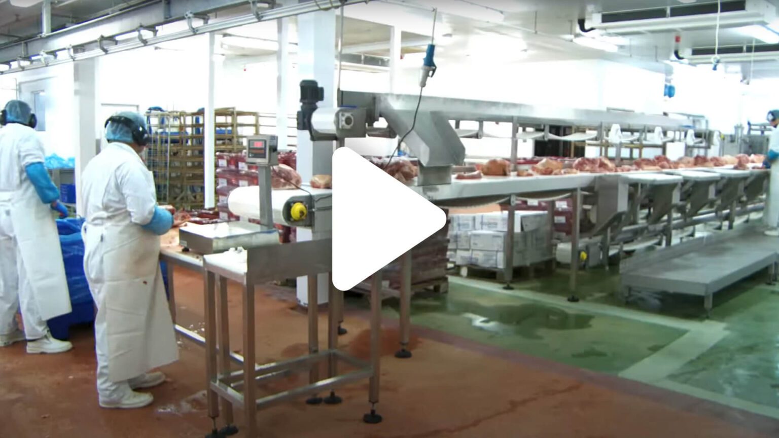 Food Processing Software Solutions | Emydex