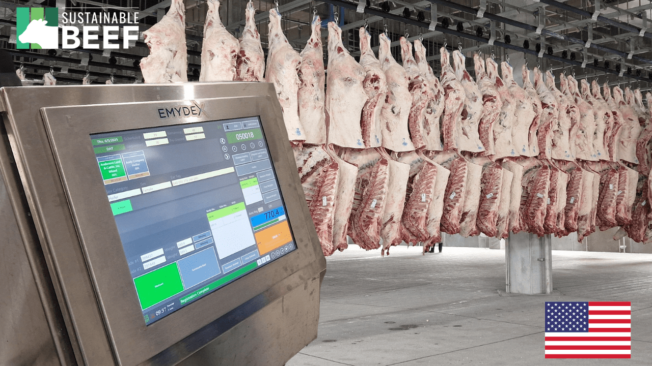 Food Processing Software Solutions | Emydex